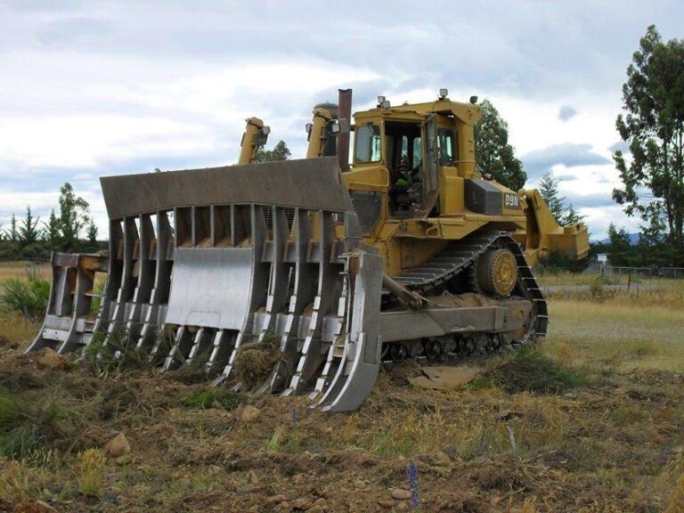 Root Raking, Root Raking Services, Tallahassee, Fl